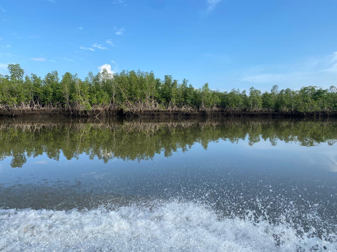 GREENLIFE West Africa Empowers Coastal Communities and Restores ...